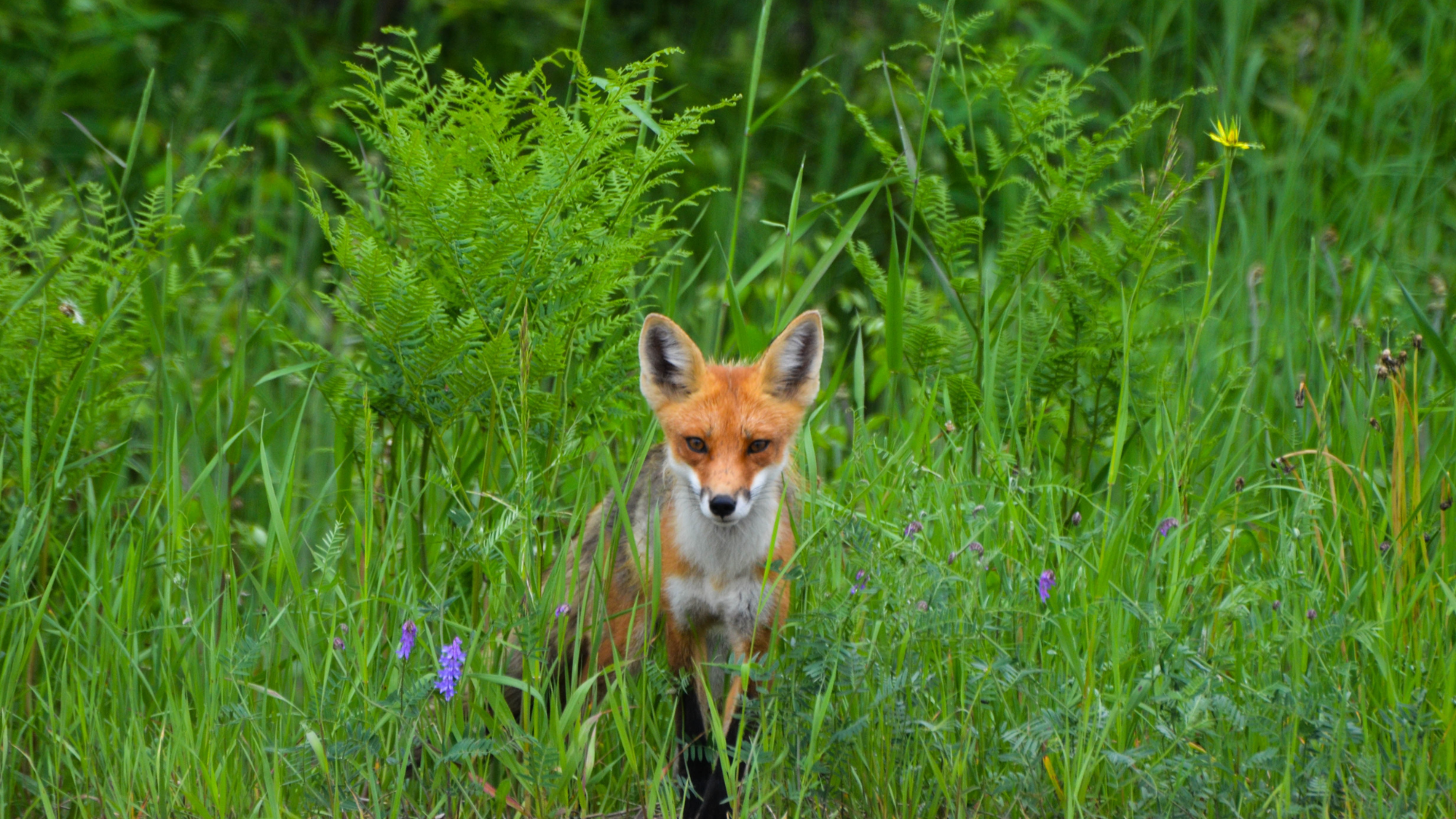 How to blend multi-asset products within a CIP - and why now is a particularly important time to ...